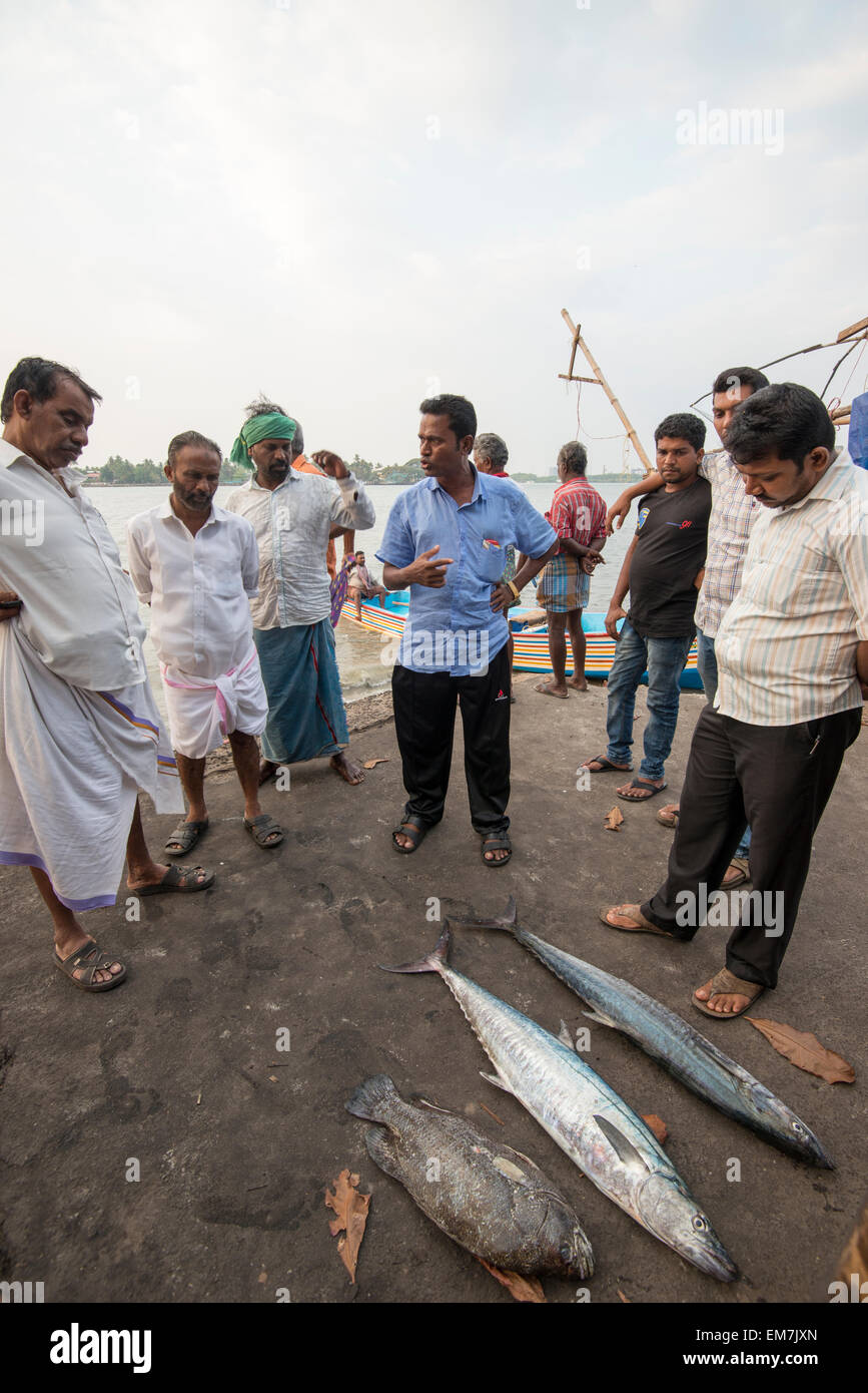 Fishermen and selling the days catch, Fort Kochi Kerala India Stock ...