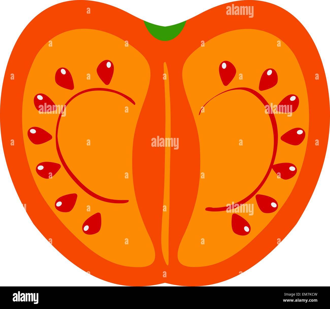 Ripe red tomato sliced Stock Vector Images - Alamy