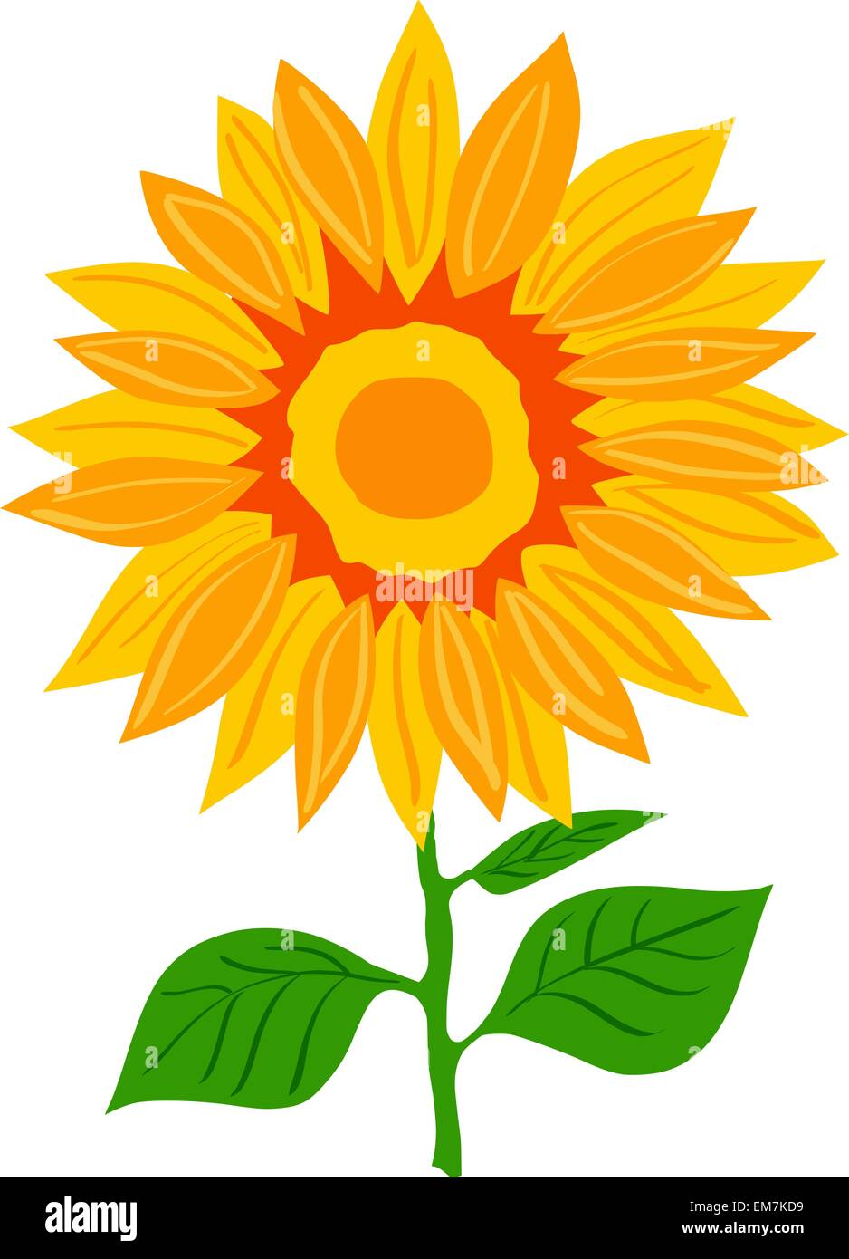 Small bloom sunflower Stock Vector Images - Alamy