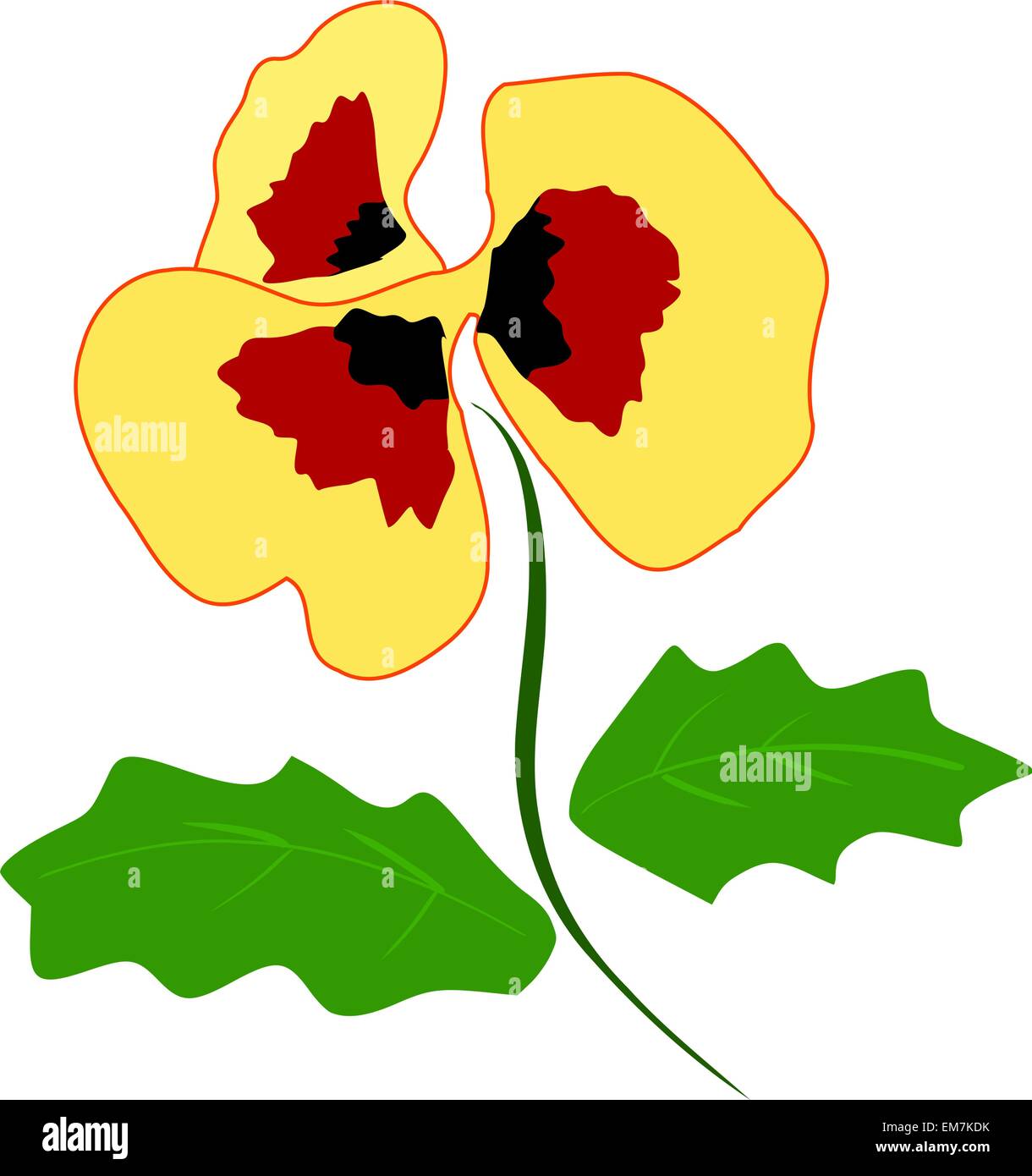 Pansy vector hi-res stock photography and images - Alamy