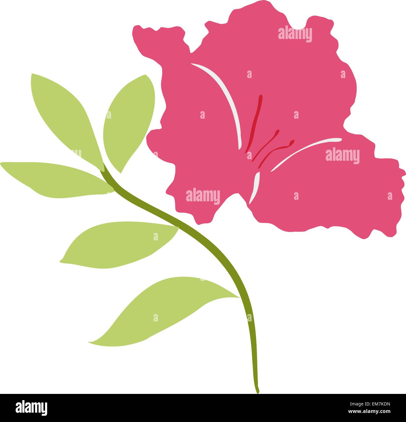 Azalea rhododendron illustration hi-res stock photography and images ...