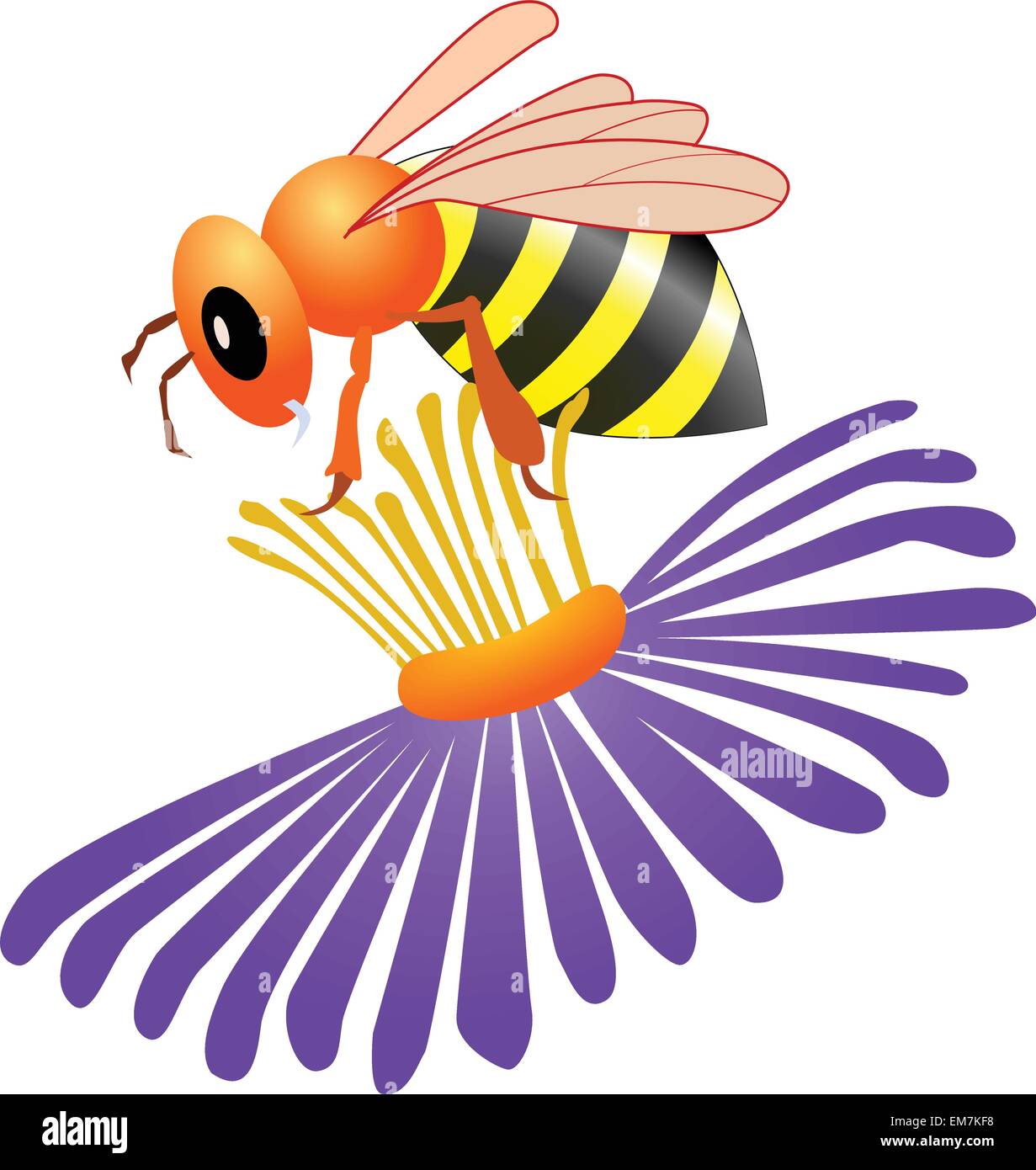 Flower honey bee Stock Vector Images - Alamy