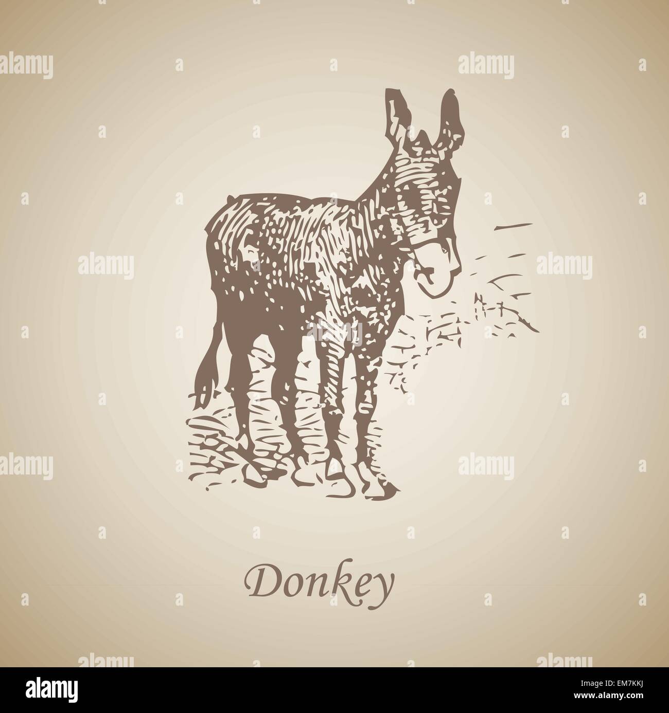 donkey vintage drawing Stock Vector Image & Art - Alamy