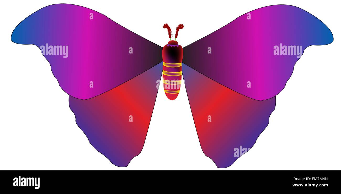 Bright colored butterfly Stock Vector Images - Alamy