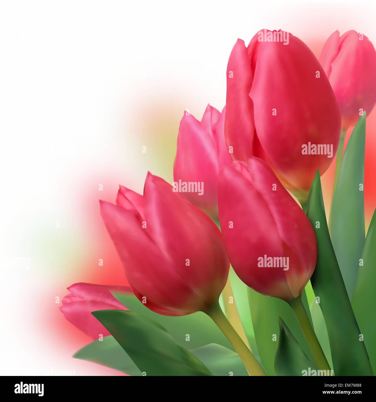 Red tulips white floral Stock Vector Images - Alamy