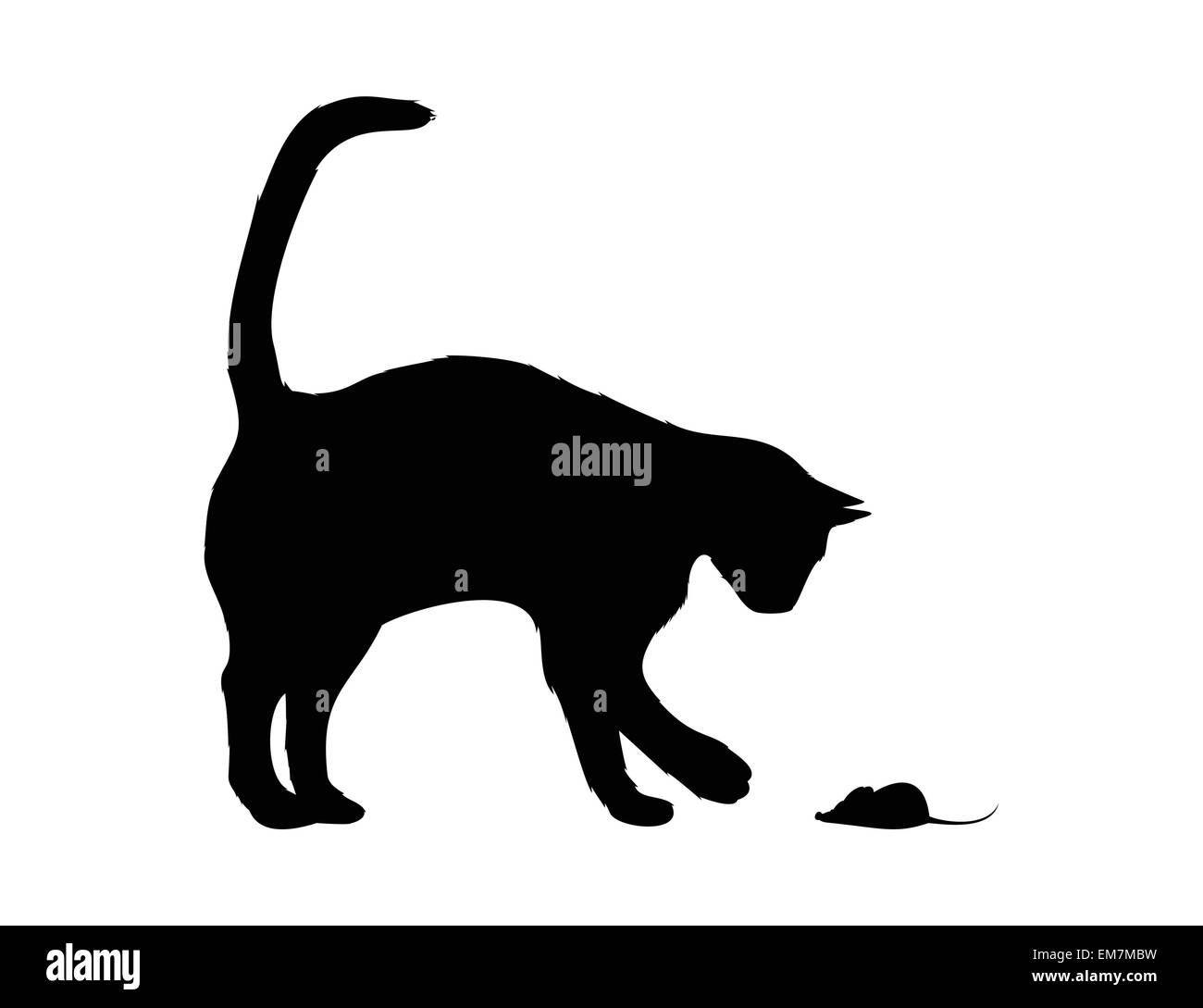 Cat mouse Black and White Stock Photos & Images - Alamy