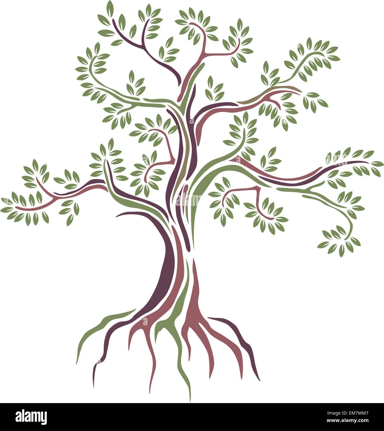 beauty Stylized vector tree Stock Vector Image & Art - Alamy