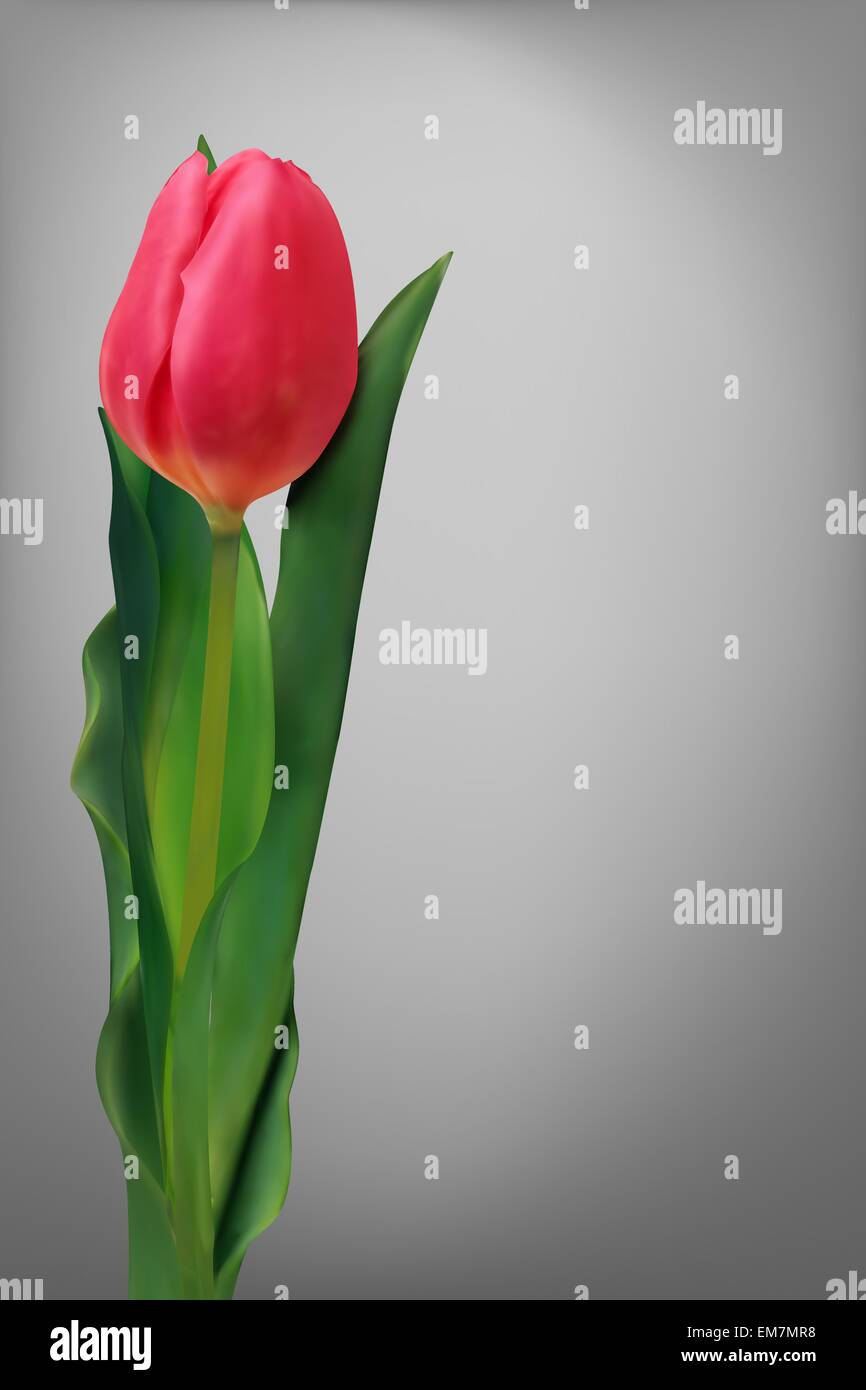 Bright vertical shot floral Stock Vector Images - Alamy