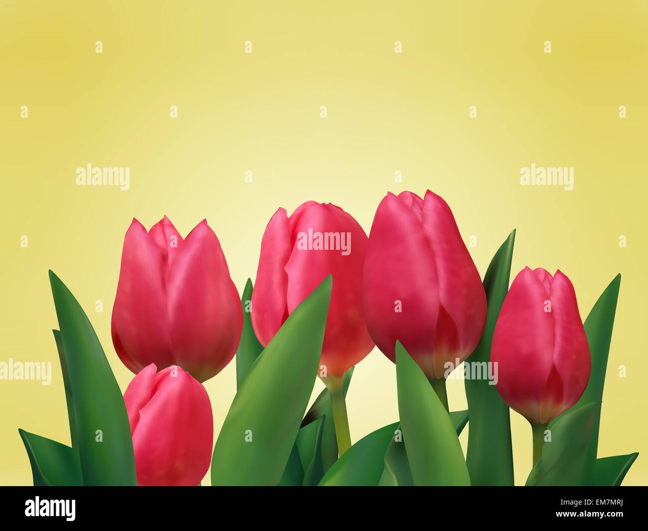 Bouquet tulip flowers Stock Vector Images - Alamy