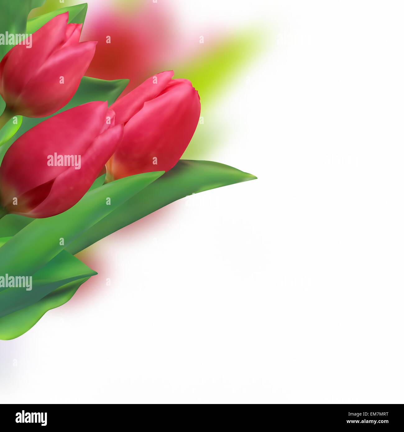 Bouquet red tulip flowers Stock Vector Images - Alamy