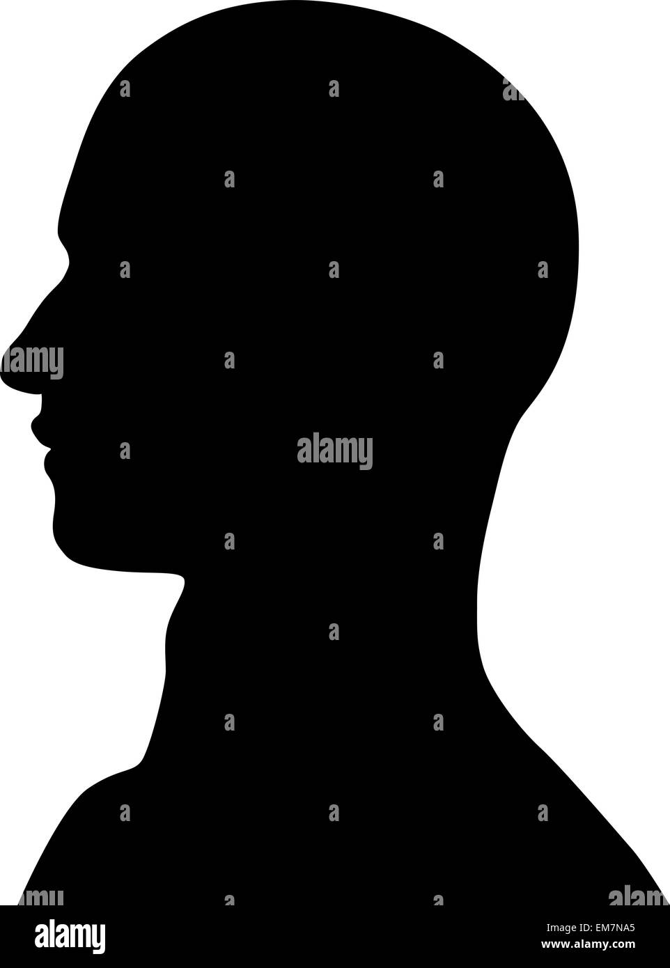 Human Head High Resolution Stock Photography and Images - Alamy