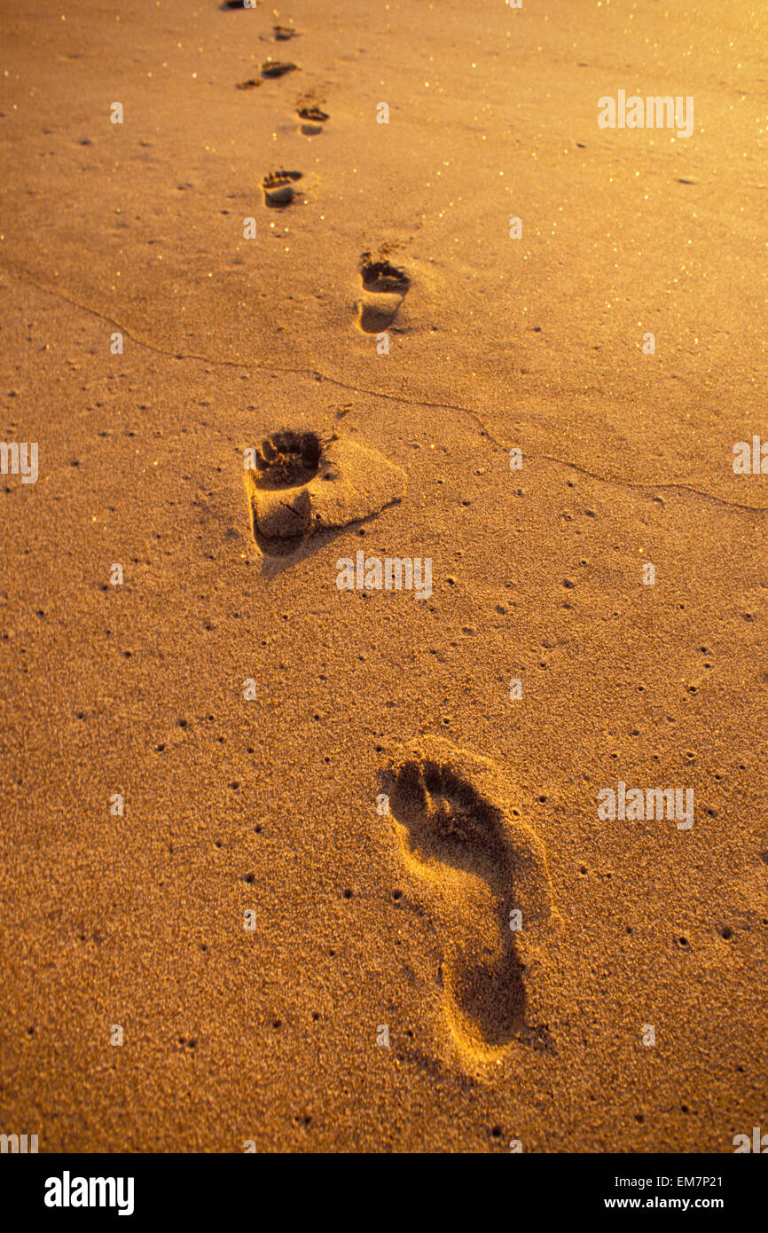 Footprints In The Sand, Golden Light Stock Photo - Alamy