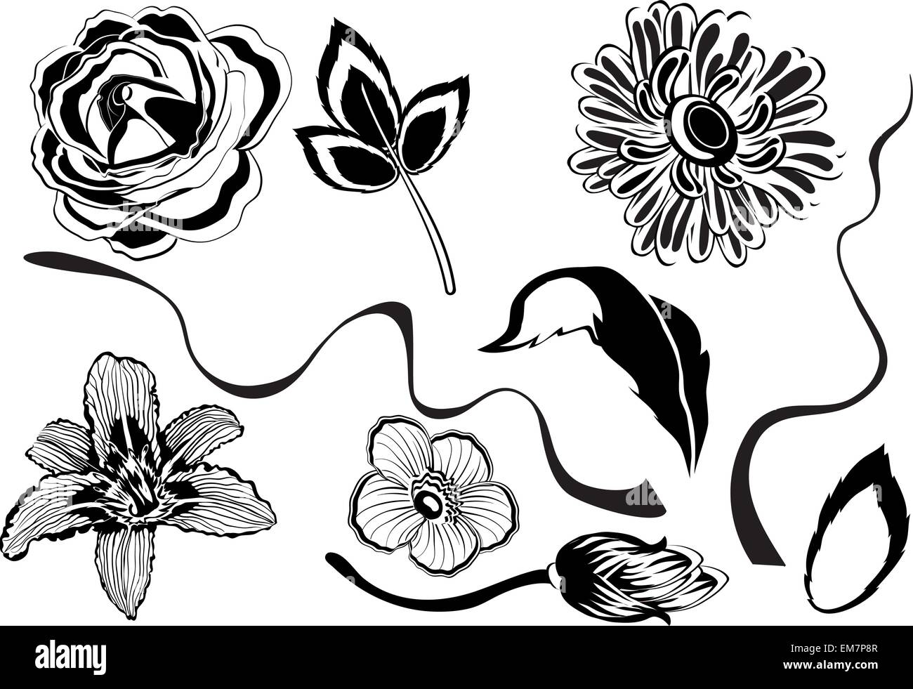 The different rose colors hi-res stock photography and images - Alamy