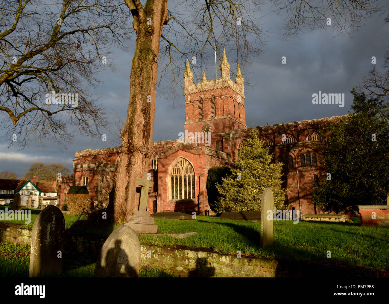Church of the Holy Cross Crediton Parish Church Stock Photo - Alamy