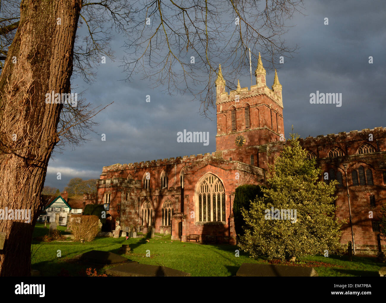 Church of the Holy Cross Crediton Parish Church Stock Photo - Alamy