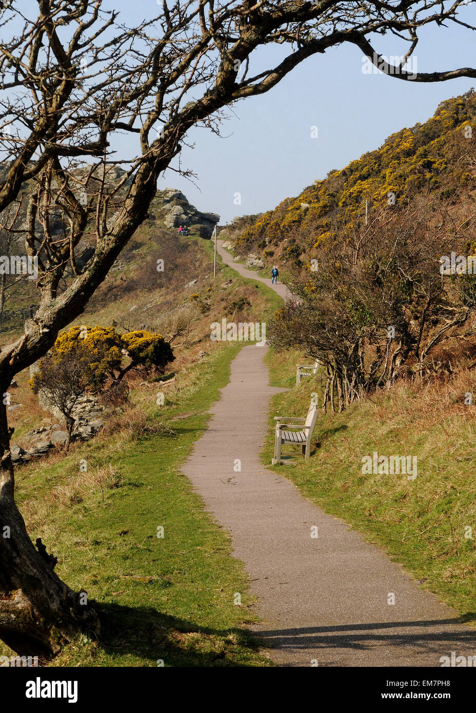 Shelleys Cottage, Lynmouth for Devon Life. Woody Rivers Lynmouth Valley ...