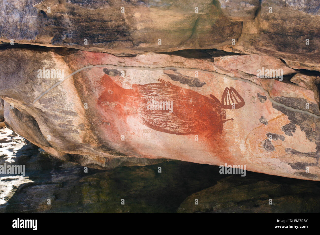 Aboriginal rock art Stock Photo - Alamy
