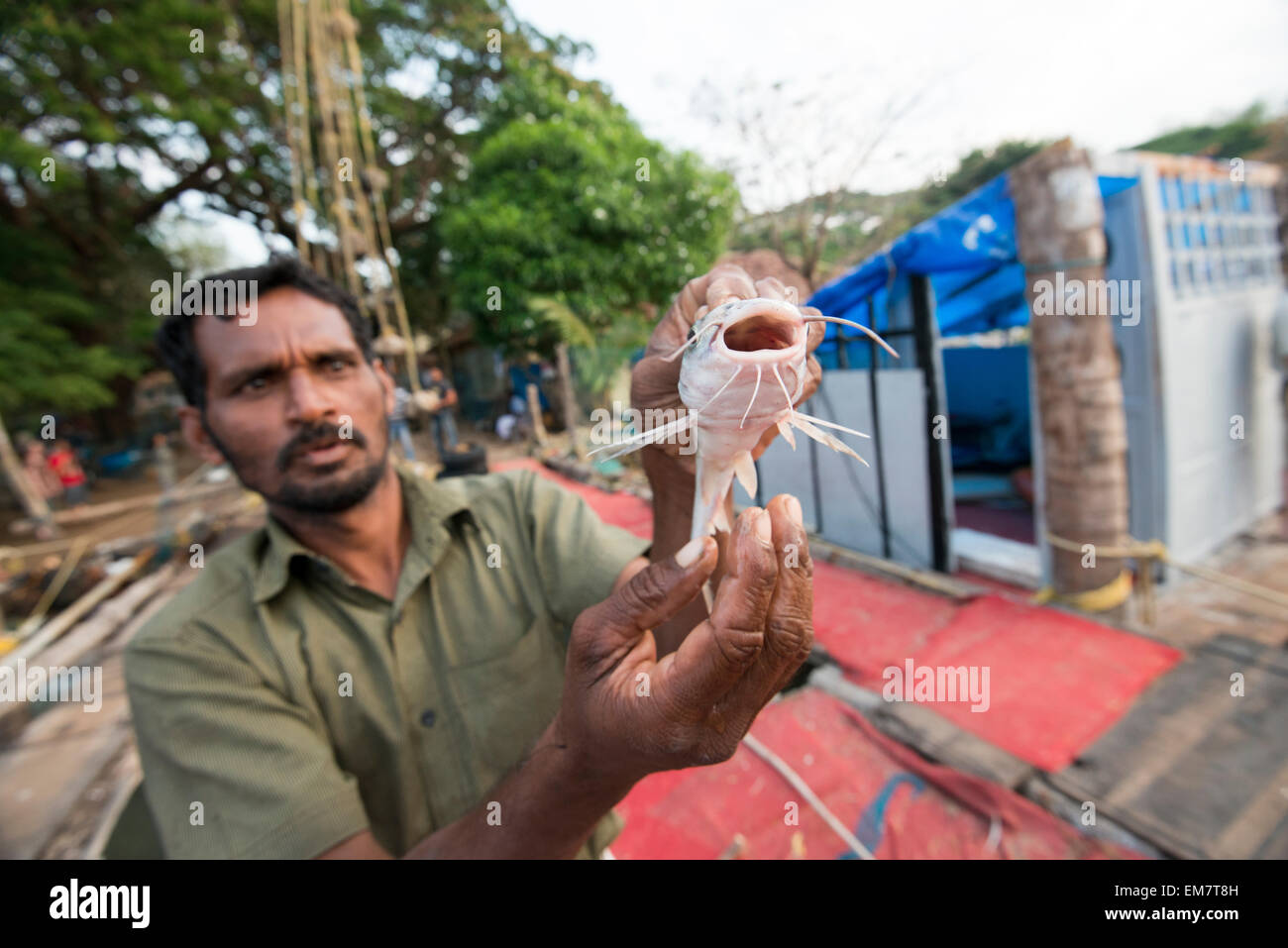 Fisherman showing catch on chinese hi-res stock photography and images ...