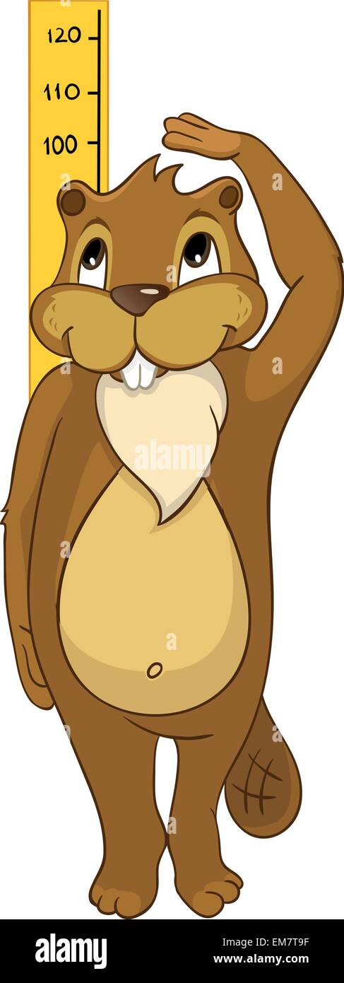 Baby beaver isolated Stock Vector Images - Alamy