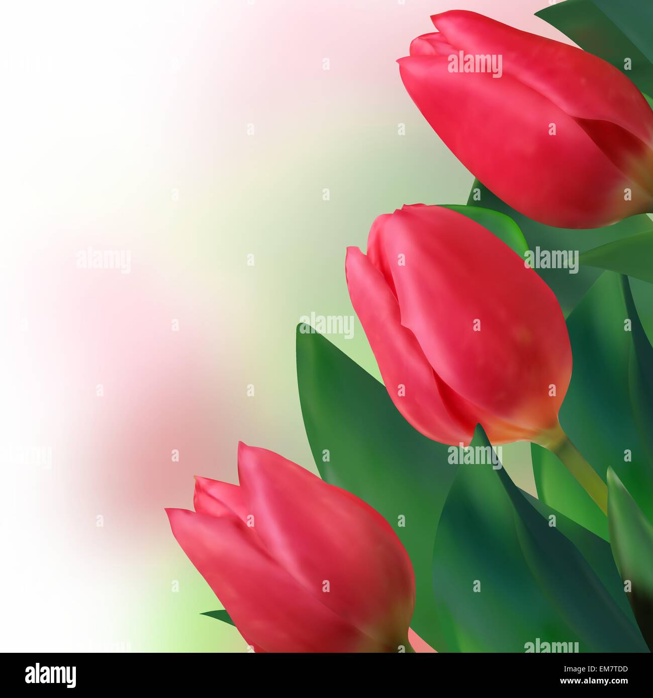 Beautiful large flower red Stock Vector Images - Alamy