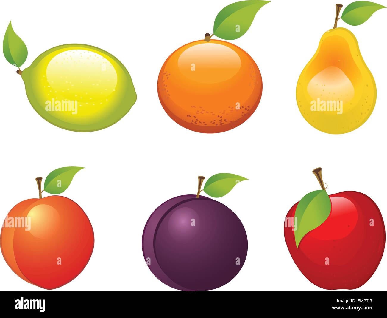 Fruits drawing hi-res stock photography and images - Alamy