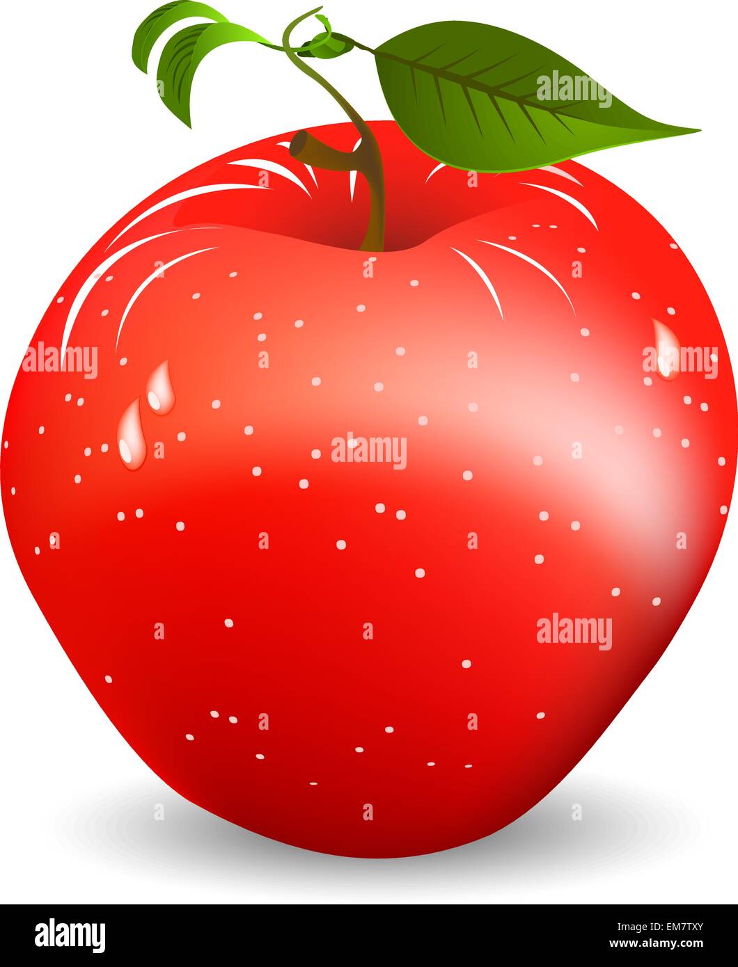 Juicy still life Stock Vector Images - Alamy