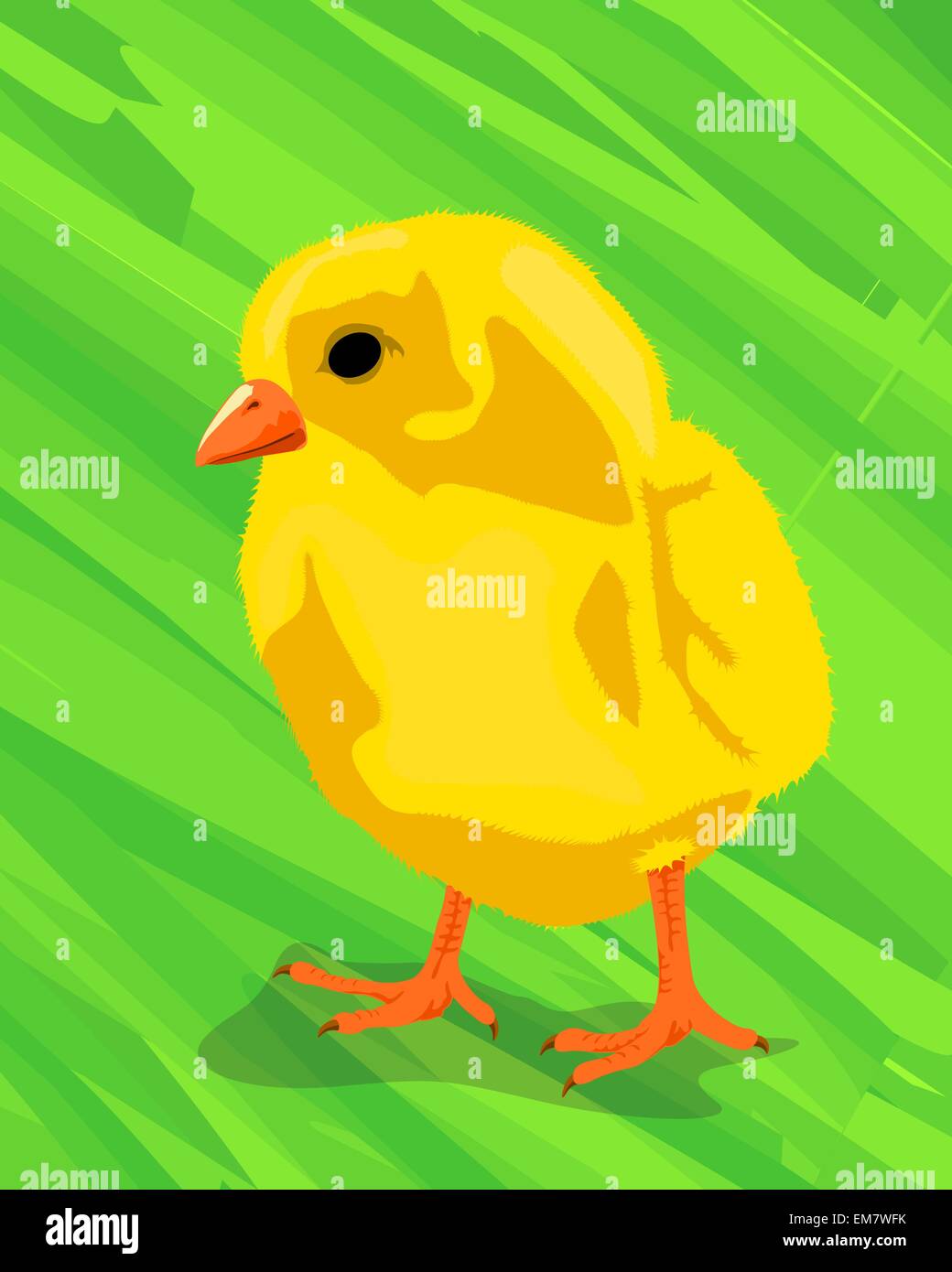 Chicken on the green Stock Vector Image & Art - Alamy