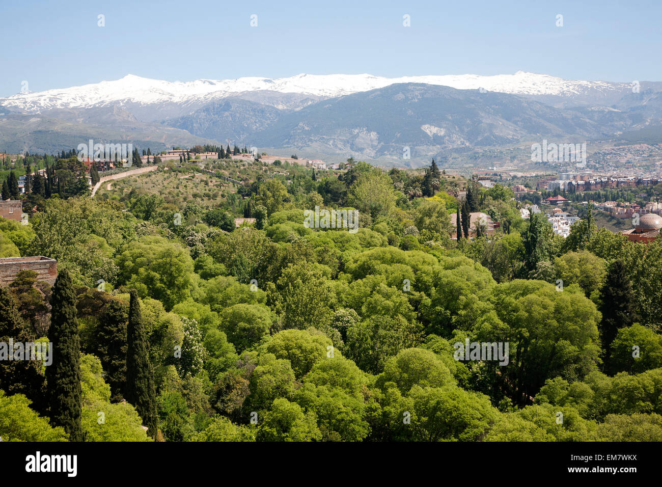 Snow capped Sierra Nevada mountains viewed from the Alhambra, Granada ...
