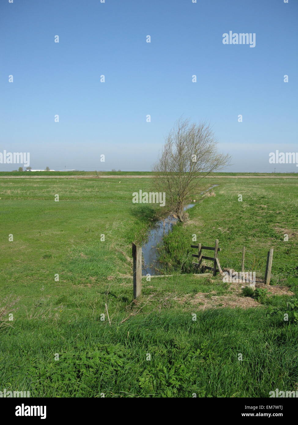 Drainage channel in the floodplain at Sutton Gault in Cambridgeshire ...