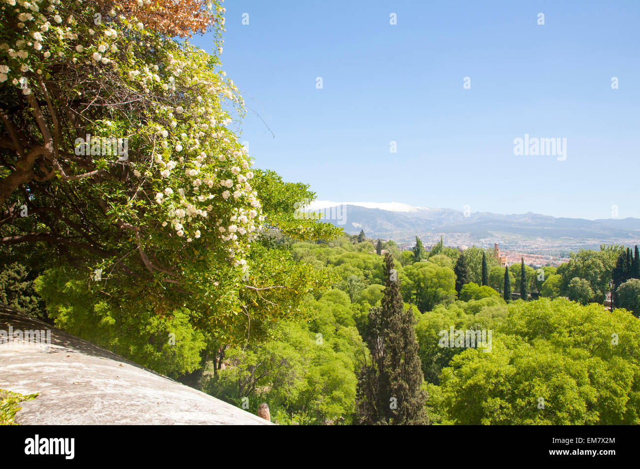 Snow capped Sierra Nevada mountains viewed from the Alhambra, Granada ...