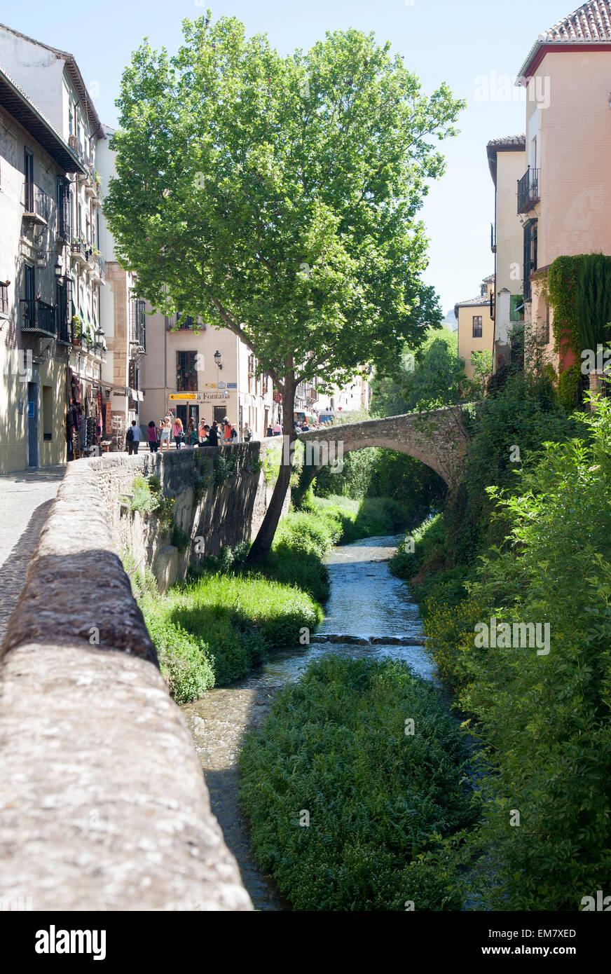 Historic buildings on Carrera del Darro and old bridge over the Rio ...