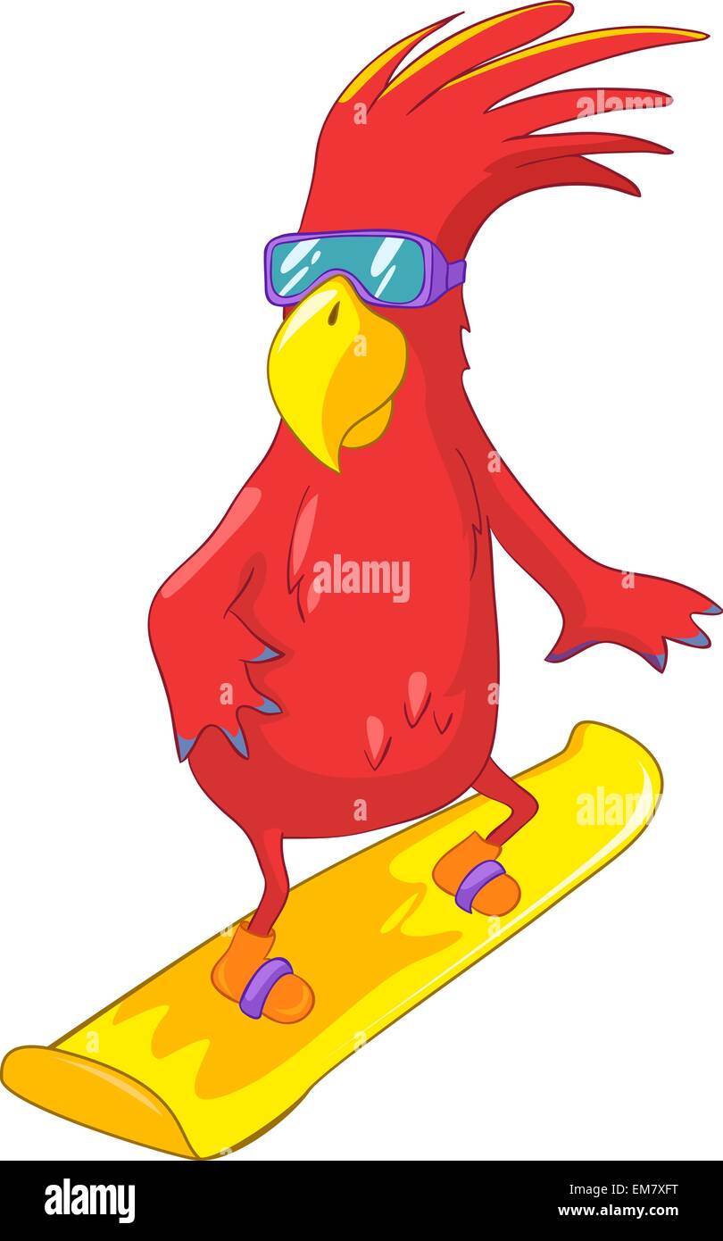 Funny Parrot. Snowboarding Stock Vector Image & Art - Alamy