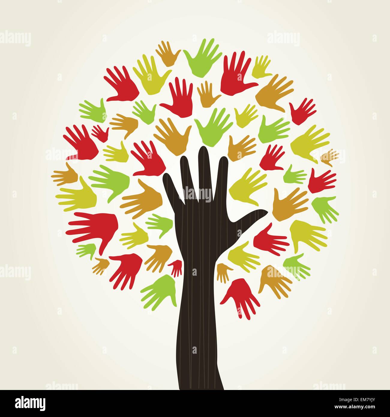 Tree anatomy hi-res stock photography and images - Alamy