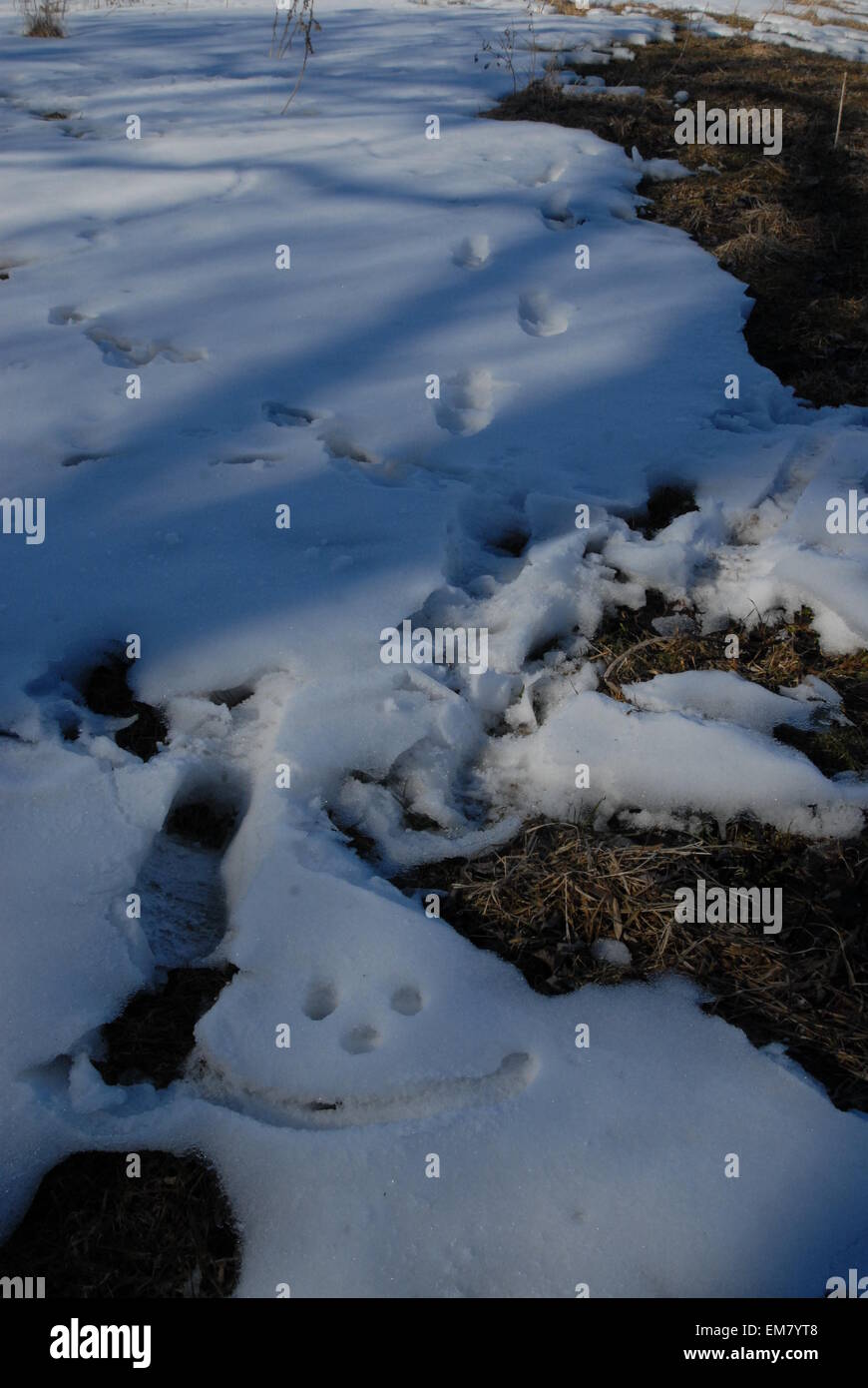 Smiley face in snow Stock Photo - Alamy