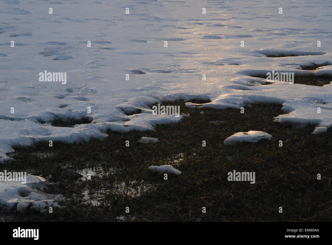 Spring flood, flooded field, snow crust Stock Photo - Alamy