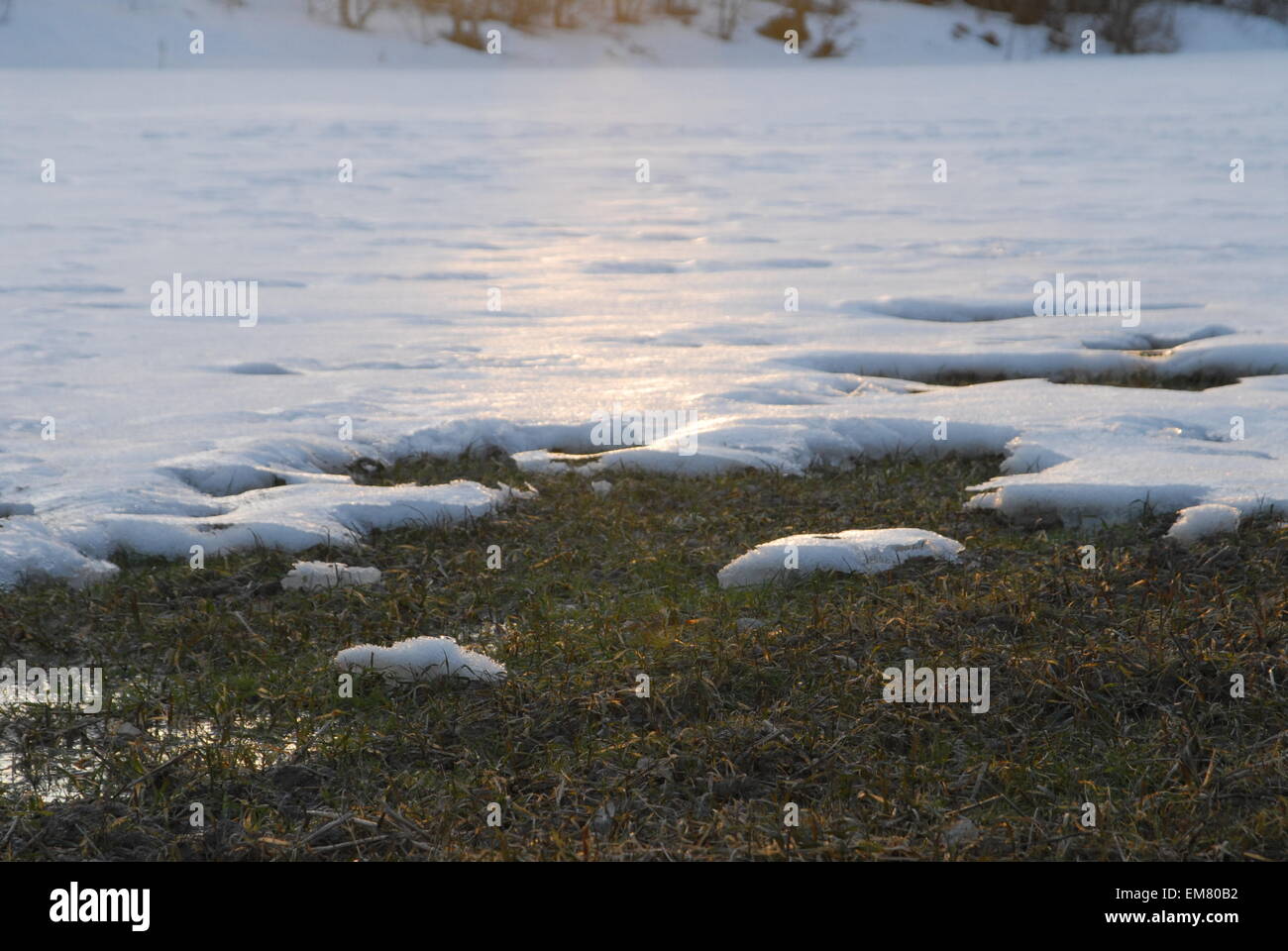 Melted patch of snow hi-res stock photography and images - Alamy