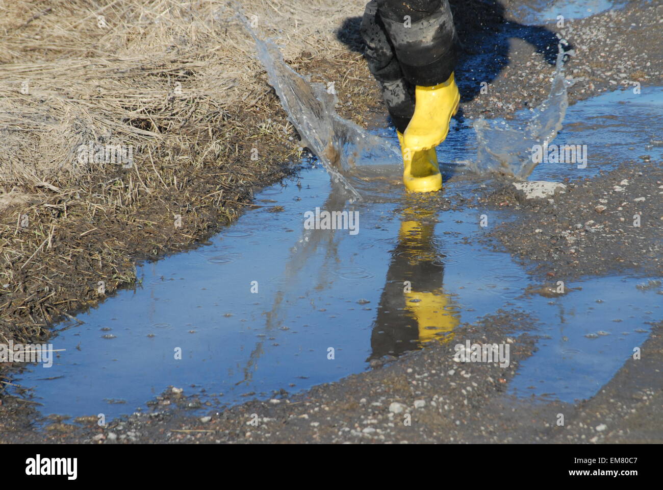 Jumping in water puddle Stock Photo - Alamy