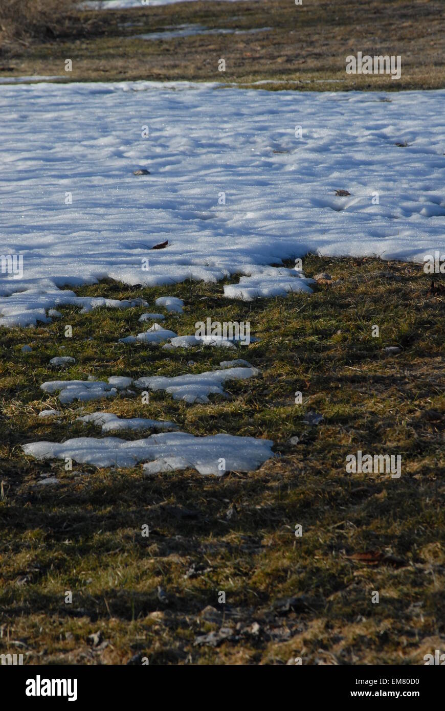 Grass field with patches of melting snow in early spring Stock Photo ...
