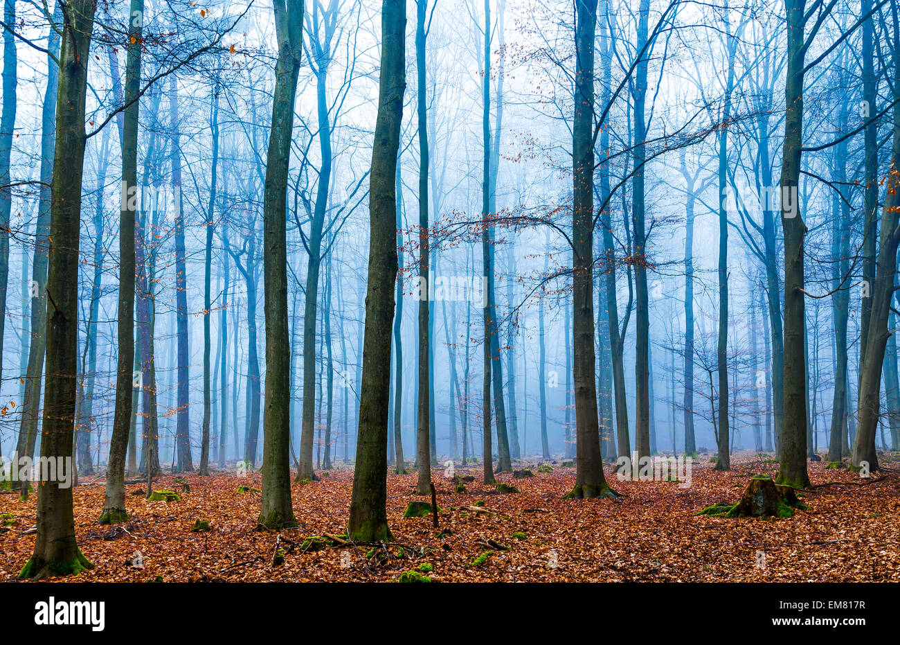 Surreal blue hi-res stock photography and images - Alamy