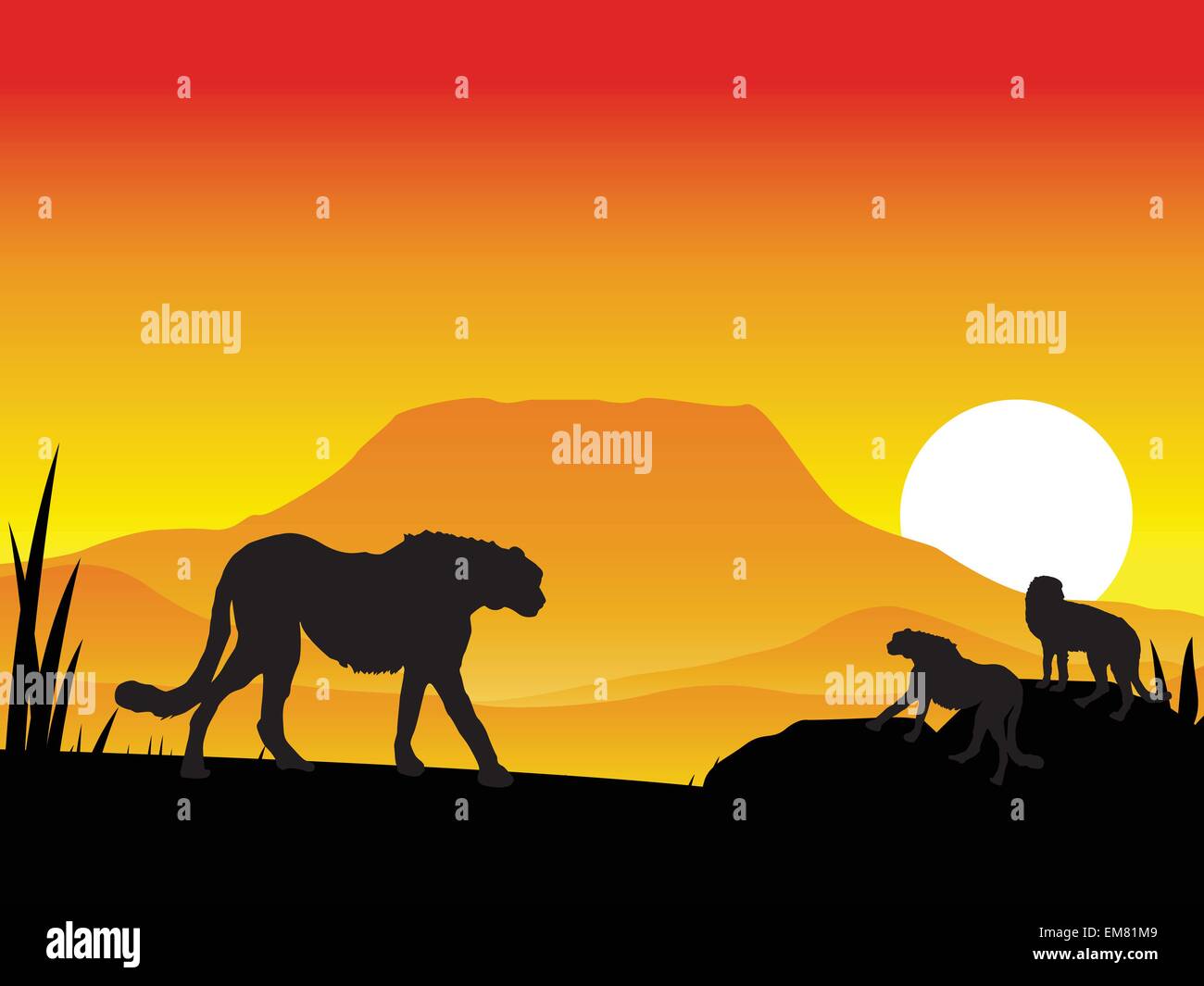 Savana vector hi-res stock photography and images - Alamy