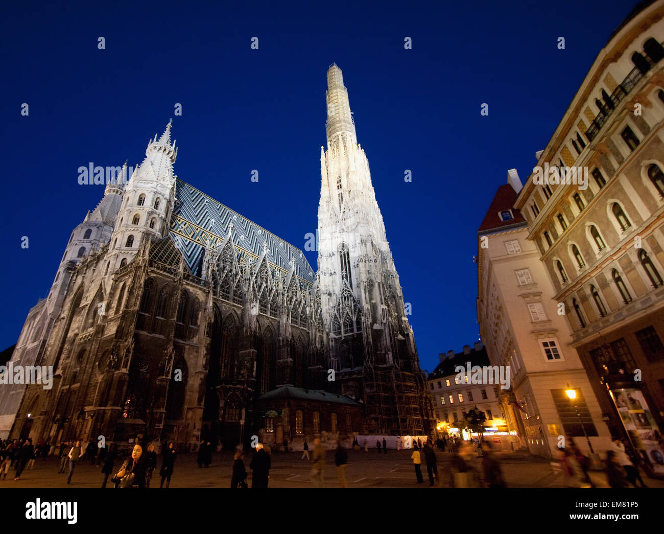 St. Stephen's Cathedral at night, Vienna (Wien), Austria Stock Photo ...