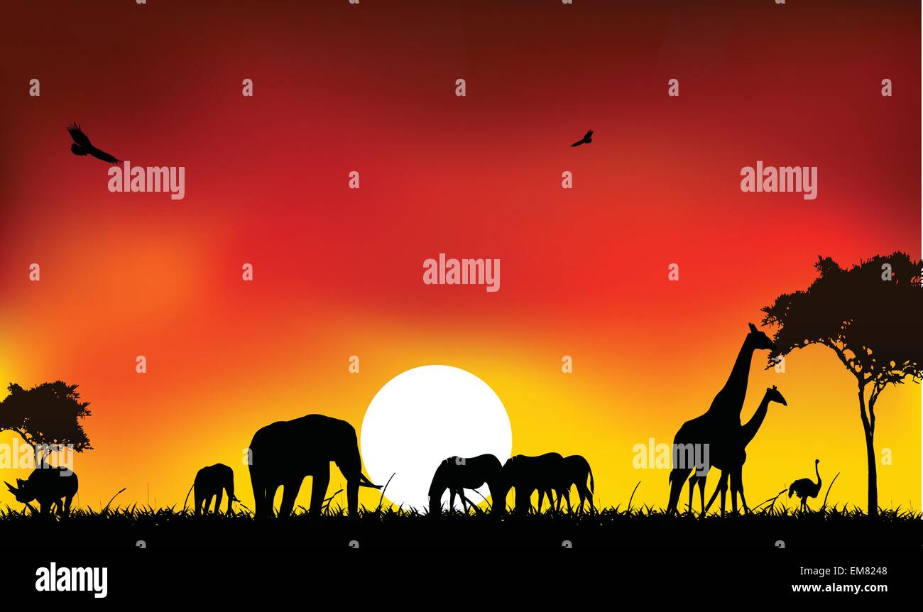 Beauty Silhouette Of Safari 420+ Beauty Silhouette Of Safari Animal