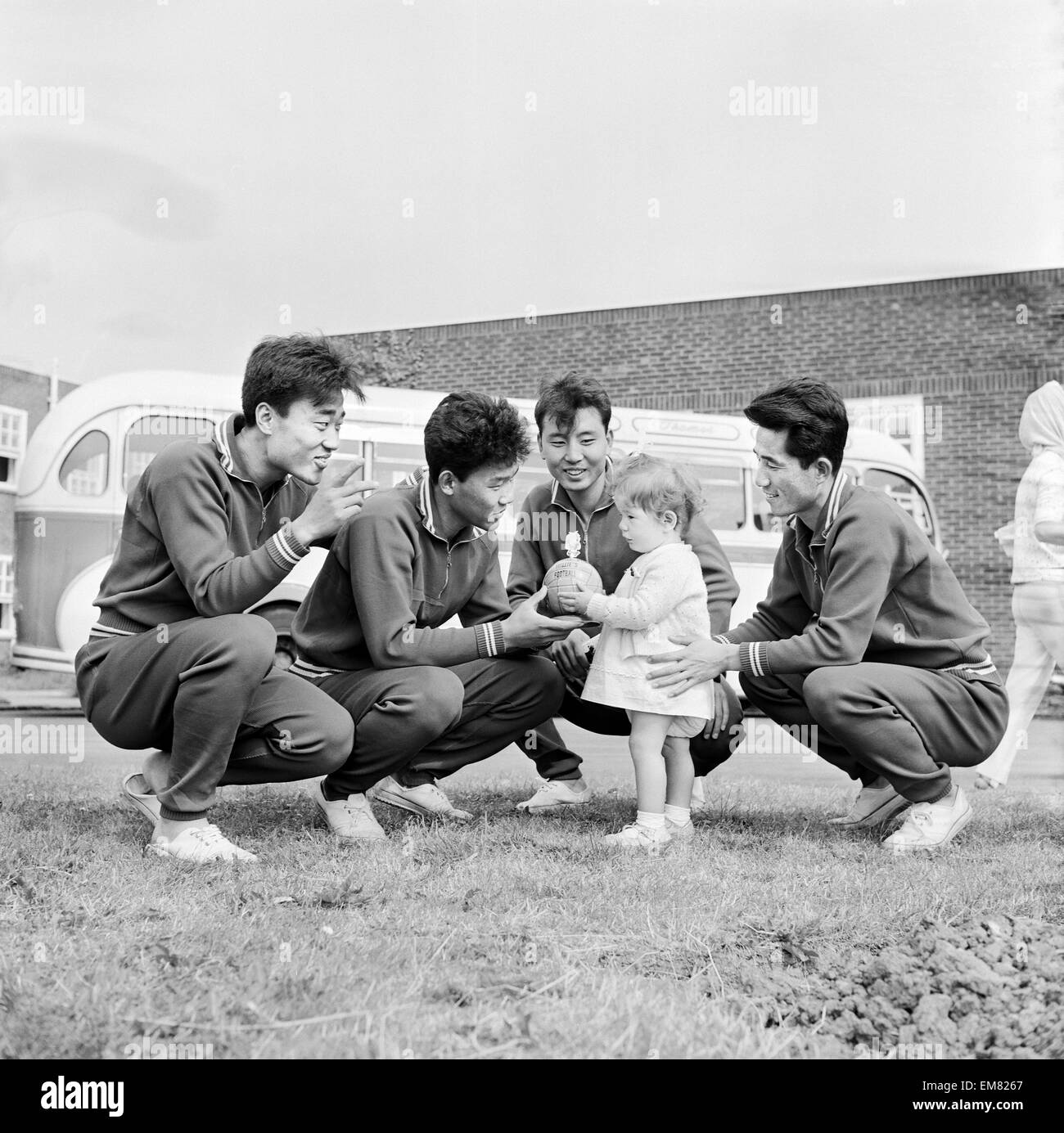 Elizabeth Reaser Commando