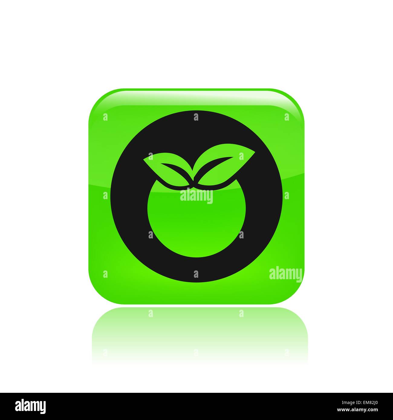 Vector illustration of single fruit icon Stock Vector Image & Art - Alamy