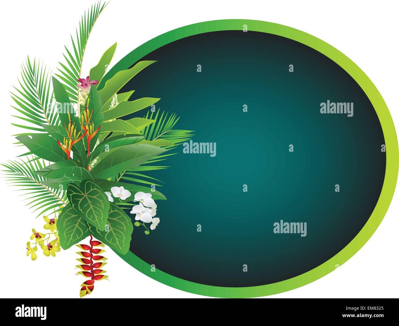 tropical plant background Stock Vector Image & Art - Alamy