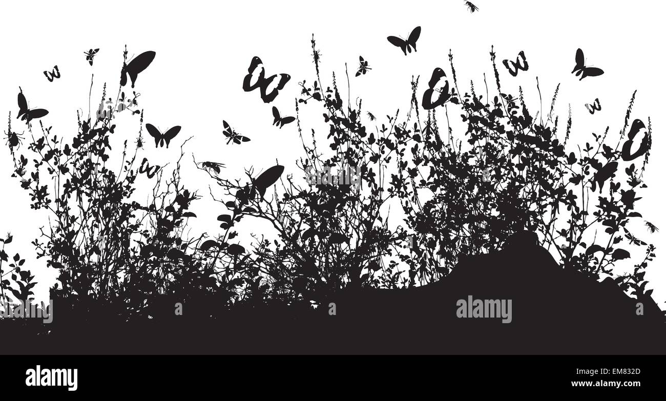Insects background illustration Stock Vector Images - Alamy