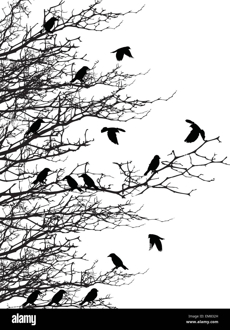 Tree Silhouette With Birds