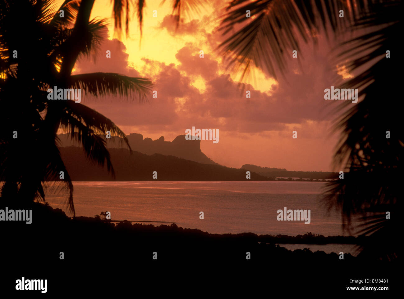 Micronesia, Caroline Islands, Pohnpei, Sokehs Rock Lagoon And Palm ...