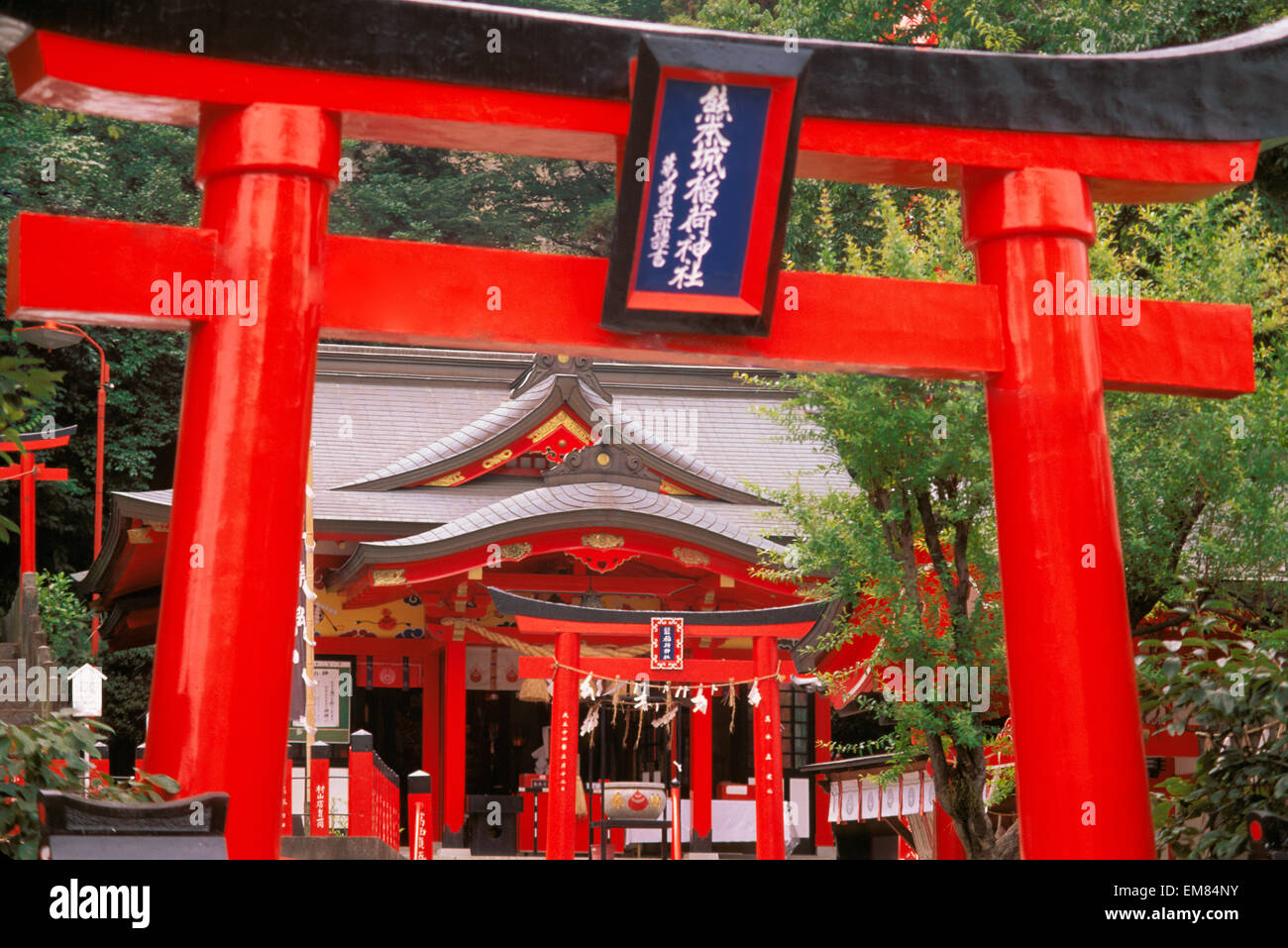 Japan, Kyushu, Kumamoto Torii Temple Gate Bright Red Entrance Stock ...