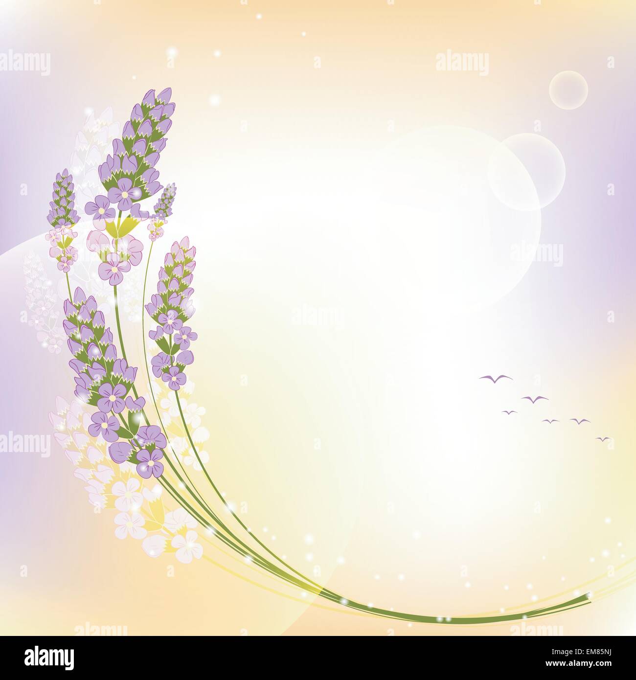 Blurred lavender Stock Vector Images - Alamy